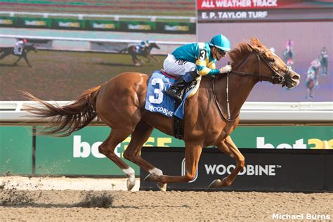 Creeds Gold Scores First Stakes Success In G3 Hendrie Past The Wire