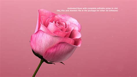 3d Rose Animated 3d Model Animated Rigged Cgtrader