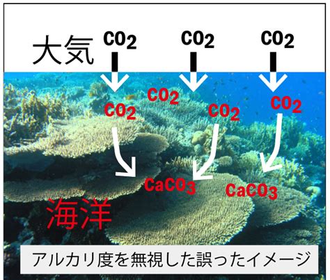 コース 炭酸カルシウム粒子の形成と二酸化炭素の飽和濃度 Lasbos Moodle