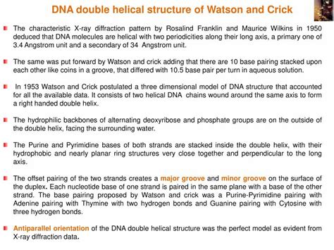 Importance Of Nucleic Acid Notes Learnpick India