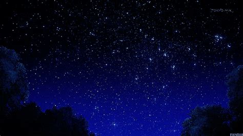 Stars