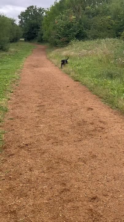 Martin Teasdale On Linkedin Have You Seen The New Tv Comedy Show Ruby