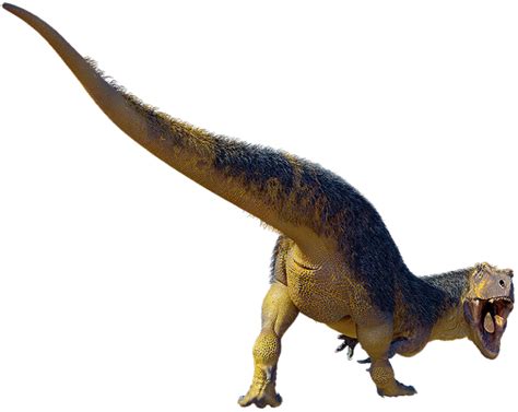 Theropods Australian Dinosaurs Broome Trackmakers Dinosaur Coast