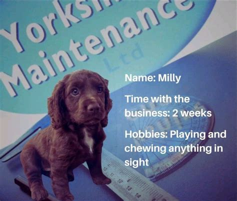 Loving Our New Recruit 🐾🐾 Sam Rogerson