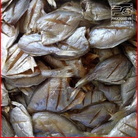 Giá Cá Đội Đèn Bảng Giá Cá Đội Đèn 1 Nắng Cập Nhật Mới Nhất 2024