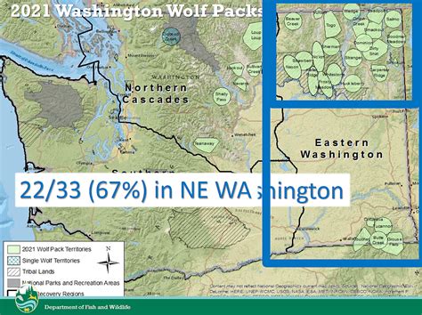 Wash Wolf Management Bill Introduced Columbia Basin Herald