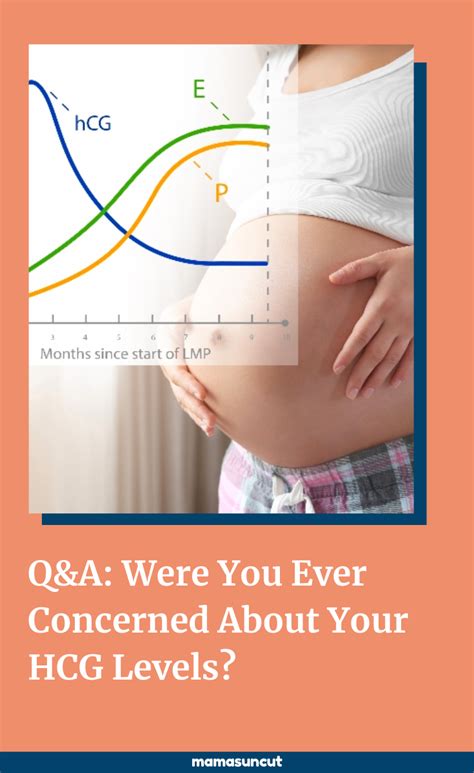 Hcg Levels In Early Pregnancy Artofit
