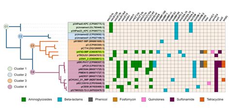 Phylogenetic Tree And Resistance Heatmap Plasmids From The Current