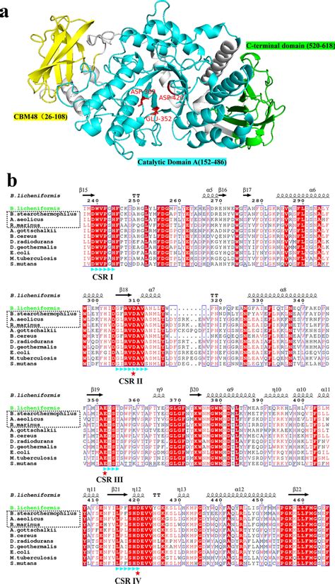 Multiple Alignment And Homology Modeling Analysis Of Bl Gbe A 3d