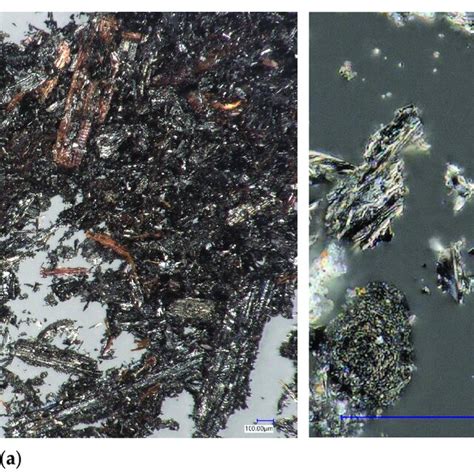 Optical Microscope View Of Biochar A Overall Picture B Shape Of