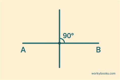 Bisect Definition Examples Quiz Faq Trivia