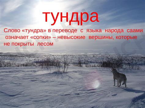 📈 Презентация №4 по теме “Презентация к уроку окружающего мира по теме