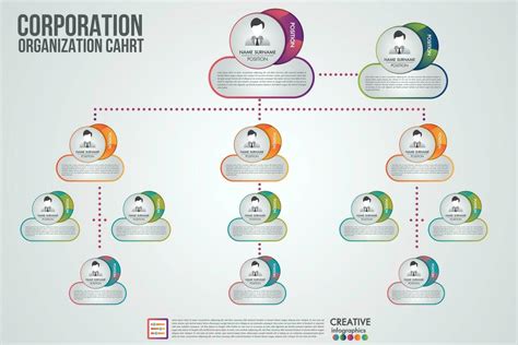 Infographic Design Organization Chart Template For Organizational