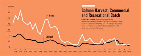 Harvest Rates Have Declined State Of Salmon