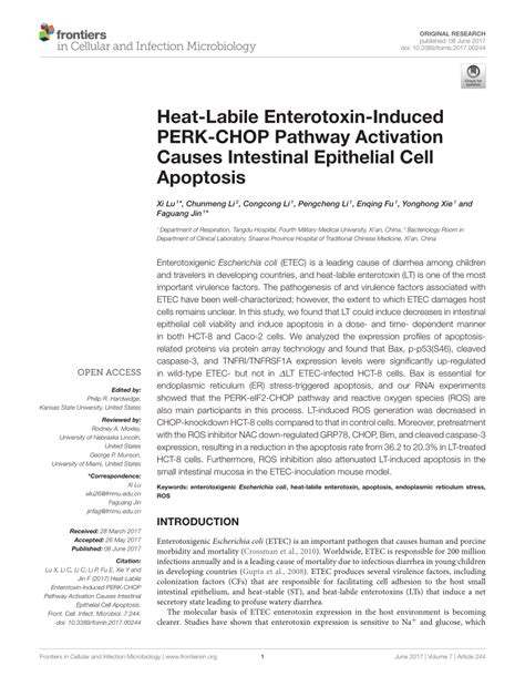Pdf Heat Labile Enterotoxin Induced Perk Chop Pathway Activation