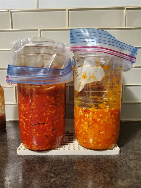 Fermentation Technique Hack Rfermentation