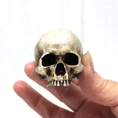 Anatomically Correct Human Skull Handmade Scaled Down Scan Of Human