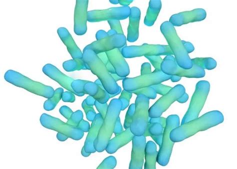 Bacillary Dysentry রক্ত আমাশয় Dm3s