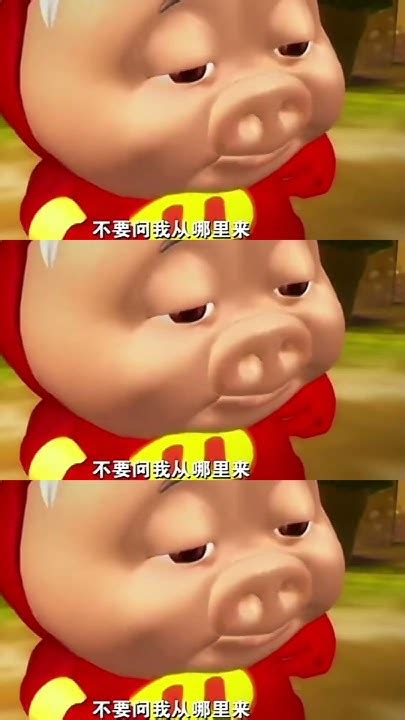 还有谁没听gg爆唱歌？好听好听猪猪侠 动画 嘿漫吧 Youtube