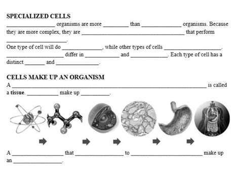 The Cell Systems Elevate Science Life Science Presentations And Guided Notes