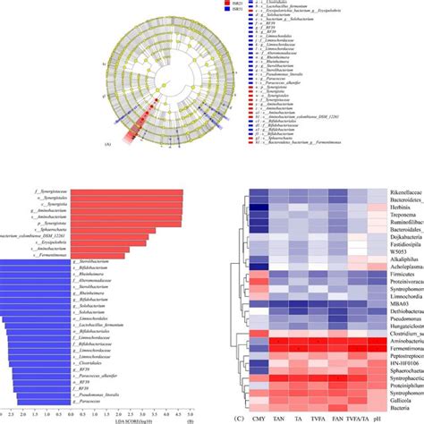 Lefse Evolutionary Branch A Lda Score B And C Correlation Between