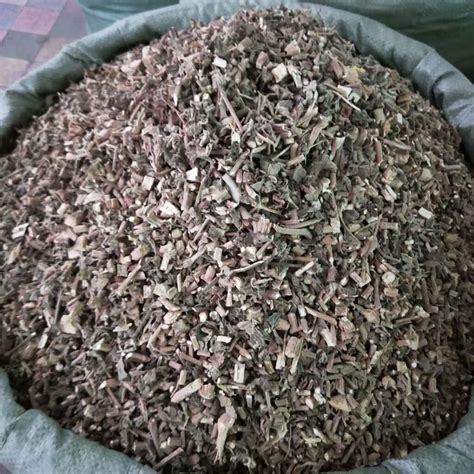 Patchouli Root 500 Gram Chinese Herb