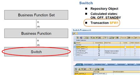 Switch Frame Work Sapcodes