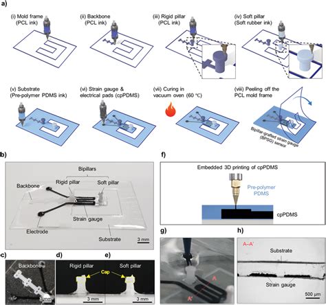 3d Printing Of Bipillar‐grafted Strain Gauge Bpsg Sensors A