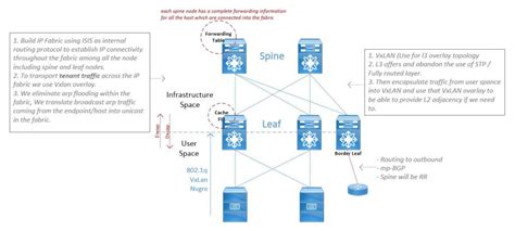 Basic Spine And Leaf Architecture A L L A B O U T N E T W O R K