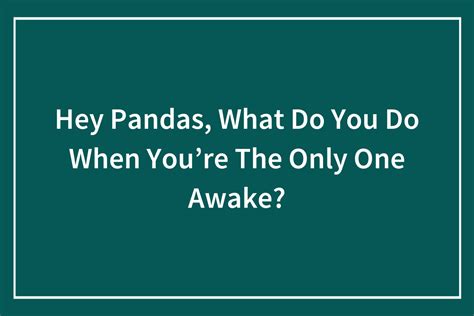 Hey Pandas What Do You Do When Youre The Only One Awake Closed