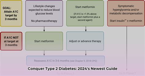 Type 2 Diabetes Treatment Algorithm A Comprehensive Guide 2024 Update
