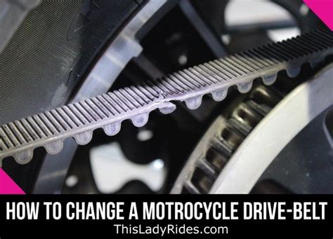Harley Davidson Drive Belt Replacement Interval At Sandra Miles Blog