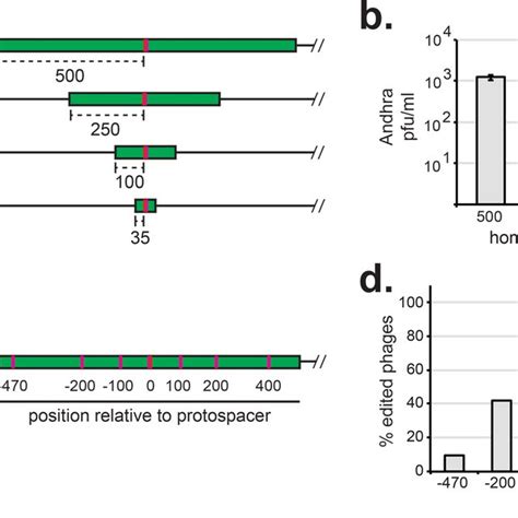 Alternative Approaches To Facilitate Editing Of Phage Derived Toxic Download Scientific Diagram