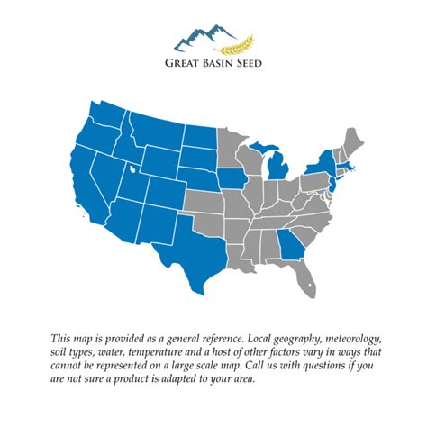 Oahe Intermediate Wheatgrass Thinopyrum Intermedium