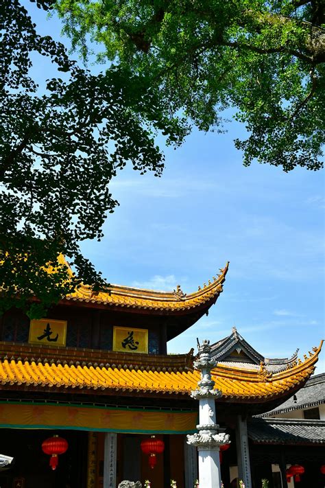 Odrzucaj Tradycyjne 가지 건물 건축 고대 건축 고요함 나무 노란 지붕 녹지 동양 랜드마크 문화 사이트 문화 유산 밝은 사원 사원