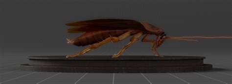 Cockroach Insect Model Flippednormals