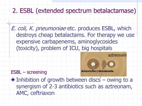 Antimicrobial Therapy Mudr Lenka Černohorská Phd Ppt Download