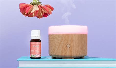 Travel And Portable Essential Oil Diffusers Lively Living