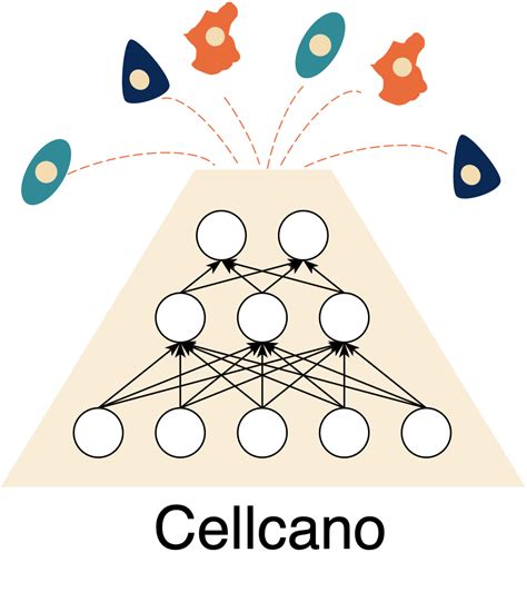 Cellcano Tutorial Cellcano