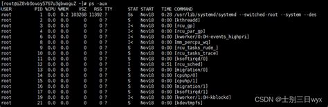 Linux Ps命令详解，linux查看进程linux Ps Ef显示的信息 Csdn博客