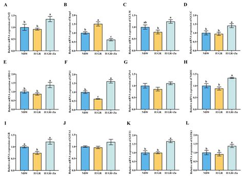 Effects Of Dietary Nano Zinc Oxide Supplementation On Meat Quality Antioxidant Capacity And