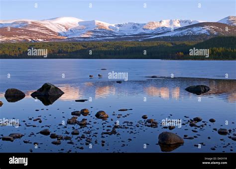 Cairngorm And The Northern Corries Seen From Loch Morlich Near Aviemore
