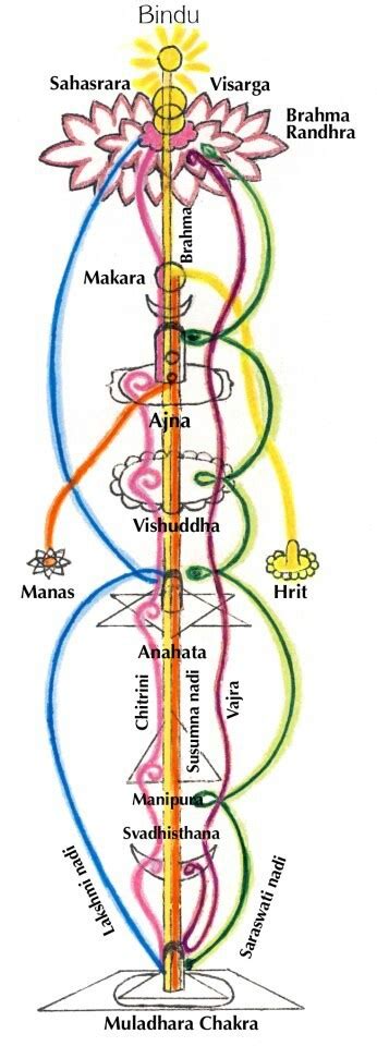 Energy Flow And Chakras Meditazione Chakra Spiritualità Meditazione