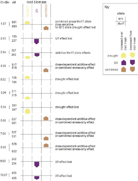 Allele Effects Of Loci Important For Root Biomass Loci With Signi Fi Download Scientific
