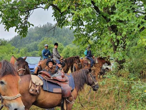 Од Родопа до Старе планине коњички туризам је скривено благо Бугарске