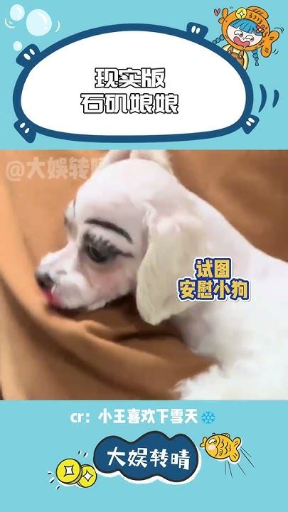 石磯娘娘的配音員是你吧 石磯娘娘 小狗 搞笑 離譜 Youtube