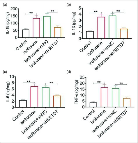 Knockdown Of Setd7 Inhibited The Release Of Inflammatory Cytokines In Download Scientific