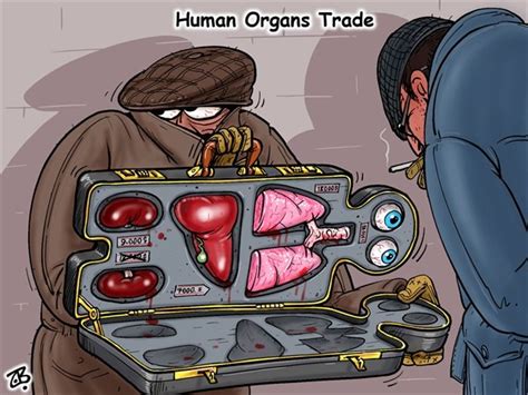 Organ Trafficking What Is It About