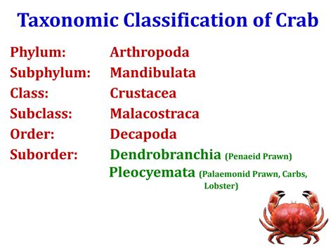 Solution Classification Of Crab Studypool