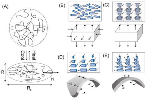 The Effects Of Chain Conformation And Nanostructure On The Dielectric